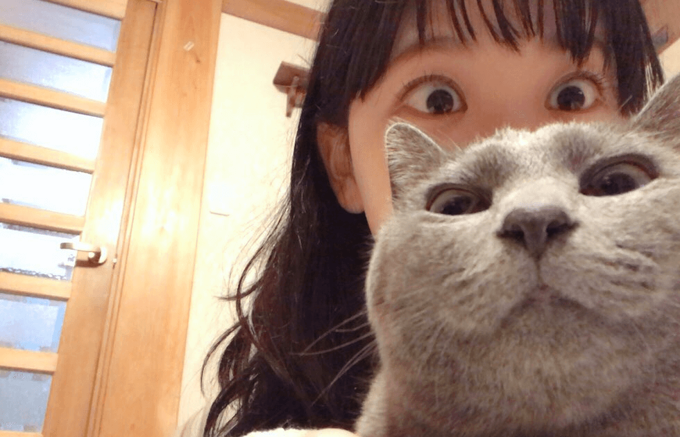 【声優】木野日菜の絶叫演技が天才すぎる！可愛いけど高校や声は大谷育江に似てる？ | 人気アニメ声優どっとこむ